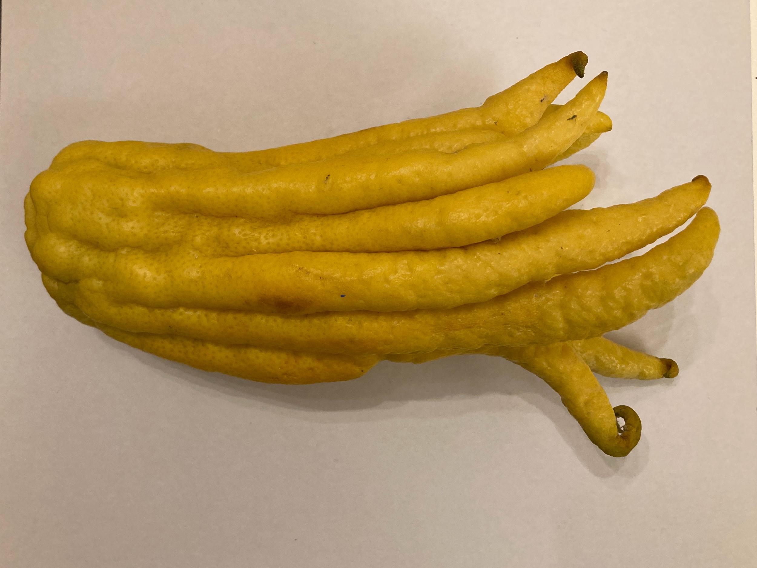 Buddha's Hand Nutrition Facts - Eat This Much