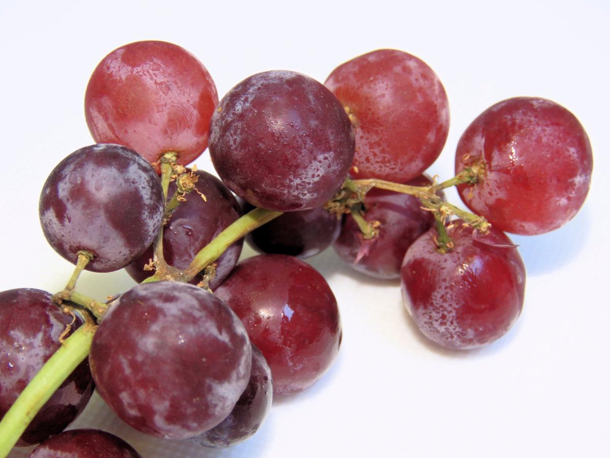 How Many Carbs Are In 10 Red Seedless Grapes Valery has Mahoney